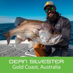 International ambassador profiles