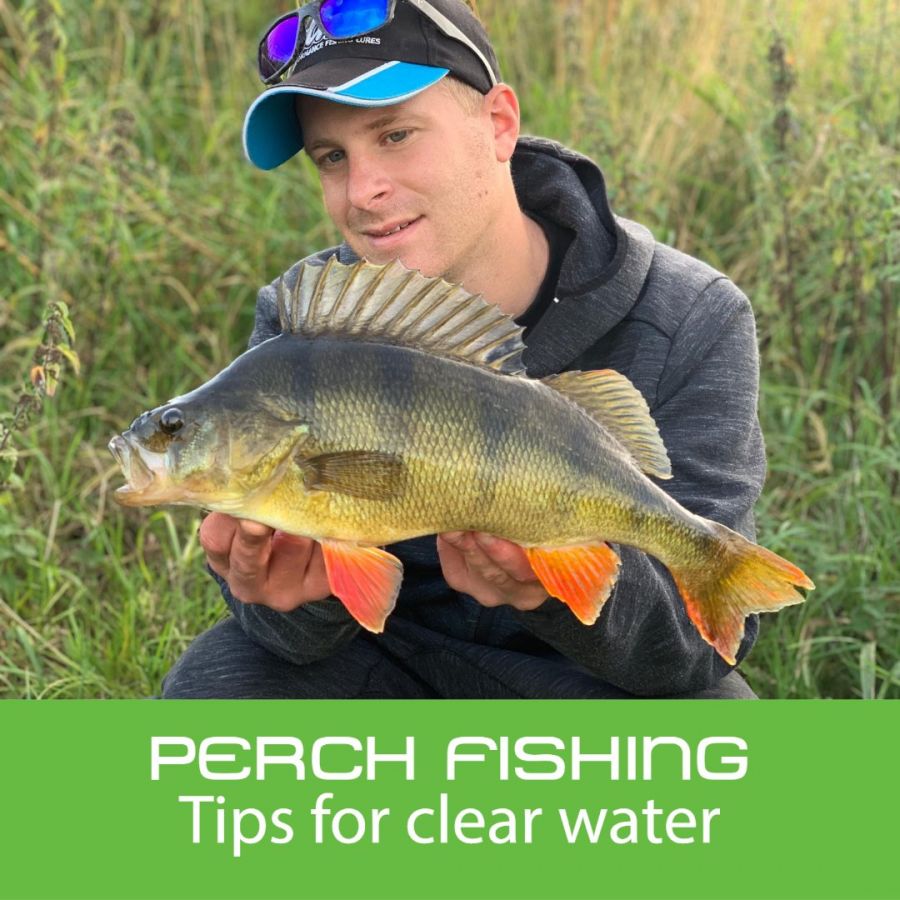 Clear Water Perch Fishing Tips: Jason Stokes RAILBLAZA